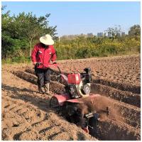 China High Speed 4WD Cultivators Agriculture Machinery Equipment with Design Diesel Engine for sale