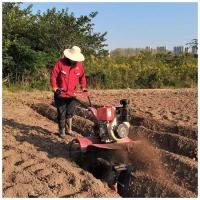 China Gasoline Power Type 186F 192F Heavy Mini Power Tiller For Hard Land High Safety Level for sale