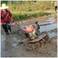 China Home 4WD Weeding Machine with Fashion Design Gear Transmission and Optional Features for sale