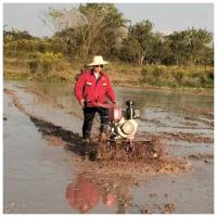 China Home 4WD Weeding Machine with Fashion Design Gear Transmission and Optional Features for sale