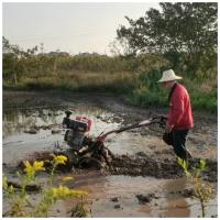 China 4KM/H Professional 4WD Mini Power Tiller with Adjustable Tilling Width for sale