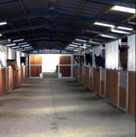 China Q355 Q345 Steel Framed Agricultural Buildings Prefab Metal Horse Barn for sale