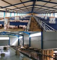 China Customizable Steel Framed Agricultural Buildings Horse Shed  Anti Seismic for sale