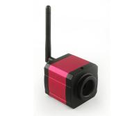 China Newest 5MP Android WIFI+USB Microscope Digital Camera for sale