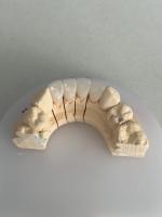 China Full Zirconia High Strength Biocompatible Material for Dental Applications for sale