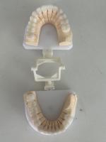 China Full Zirconia Teeth with Monolithic Structure and Natural Tooth-Like Appearance via CAD/CAM Digital Design for sale