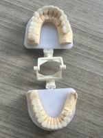China Full Zirconia Teeth with Monolithic Structure and Natural Tooth-Like Appearance via CAD/CAM Digital Design for sale