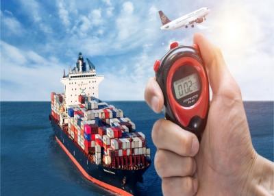 China Labeling International Dropshipping Business , Professional Freight Forwarder DDU for sale