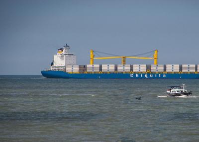 China Fast Delivery International Shipping Freight Forwarder Services To Felixstowe DDP for sale