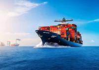 China Warehousing FCL Ocean Freight , Sea Freight China To Europe 24 Hour Service for sale