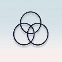 China 95×5.3 Mud Pump Rubber O Ring Seals Chemical Resistant 530301010950053007 for sale