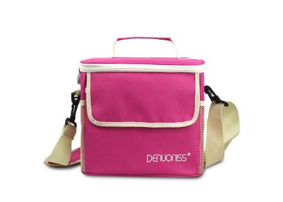 China Big Capacity Lunch Cooler Bags Odorless Waterproof Fabric For Food Delivery for sale
