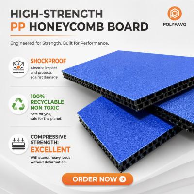 China 7mm Plastic Board Black Flight Panels Lightw 2800gsm Flight case Accessories PP Honeycomb Panel for sale