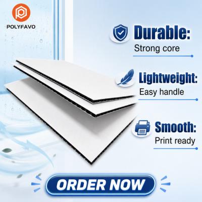 China Zhongcheng 5mm 1600gsm Plastic Sheet for Transport Honeycomb Polypropylene Panel for sale