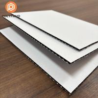 China Zhongcheng Polypropylene Honeycomb Panel Supplier 5mm 1600gsm Plastic Sheet for Transport Honeycomb Polypropylene Panel for sale