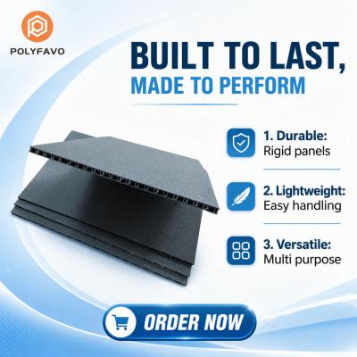 China 6mm 2200gsm Flight case Material Honeycomb Panel pp Plastic Sheet for sale
