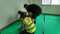 China V2 Flame Retardant Floor Protection Board, Waterproof Impact Resistant Reusable, Eco Friendly Honeycomb Panel for Floor for sale