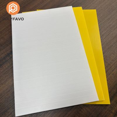 China Reusable Bottle Tray Insert, Cellular Polypropylene Sheet Divider, Shockproof PP Hollow Board Packaging Tray for Bottles for sale