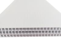 China Corflute PP Corrugated Board for sale