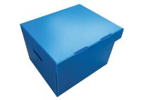 China File Storage Foldable PP Corrugated Plastic Box for sale