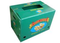 China 30lbs Fresh Ginger PP Fluted Corrugated Plastic Box for sale