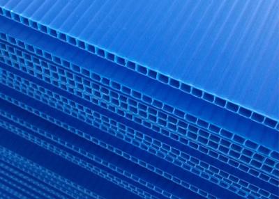 China Blue Round Corner Fireproof Recycled PP Hollow Board for sale