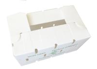 China White 4mm Corrugated Polypropylene Pp Snow Peas Box for sale