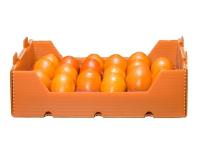 China PPP Solution Fruit 4mm Fluted Pp Packaging Box for sale