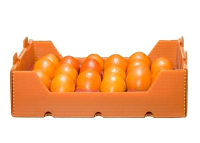 China PPP Solution Fruit 4mm Fluted Pp Packaging Box for sale