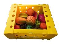China Fruit Raisin Packing PP Hollow Corrugated Plastic Box for sale