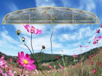China Custom Design Clear Tempered Safety Glass 250 Degrees Thermal Shock for sale
