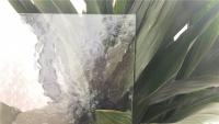 China 3.2 Mm Low Iron Decorative Patterned Glass Solid Edges Blunted Corners for sale