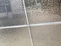 China Primed White Decorative Panel Glass  For Doors , Sidelights , Transoms for sale