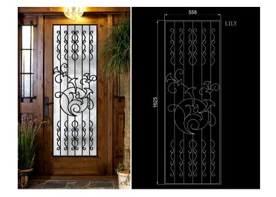 China Decorative Inward / Outward Openning Wrought Iron Glass For Entry Doors for sale