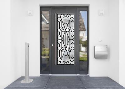 China 22*64 Inch Wrought Iron Security Doors Glass Agon Filled Shaped Wrought Iron Exterior Doors for sale