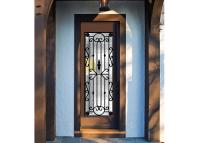 China Agon Filled 22*64 Inch Size Interior Door Frosted Glass Panel Durable Decoration for sale