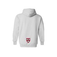 China ODM Service Custom University Hoodie with Embroidery Logos in S/M/L/XL Sizes for sale