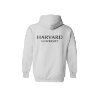 China ODM Service Custom University Hoodie with Embroidery Logos in S/M/L/XL Sizes for sale