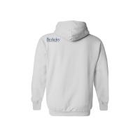 China Custom College Logo Design University Hoodie for College and University Spirit for sale