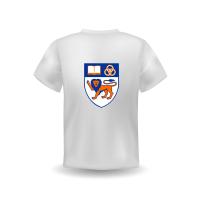 China OEM Customized Logo Printing Quick Dry and Breathable University T-Shirt for sale