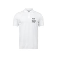 China Unisex Custom Design Breathable Fabric University Polo with Customized Logo Design for sale
