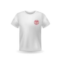 China Men's Custom Logo Printing University T-Shirt with Skin-Friendly Fabric and Promotion for sale