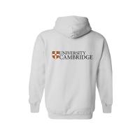 China Unisex Adults Seasonal Pick Heat Transfer Printing Logo Campus Fashion University Hoodie for sale