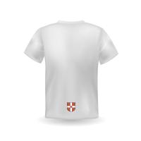 China Breathable Fabric University and Promotion T-Shirt with Custom Logo and Short Sleeve for sale