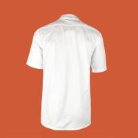 China Support Customized Samples Women's Work Blouse with Long Sleeves and Button Down Front for sale