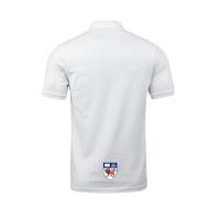 China Quick Dry University Polo Promotion Polo with Custom Logo Printing for sale