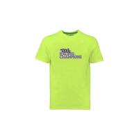 China Polyester/Cotton Fabric Breathable Men's Plus Size Sports T-Shirts with Custom Logo for sale