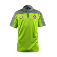 China Quick Dry Polo Shirt for Men Custom Logo Design and Casual Style for Team Sports for sale