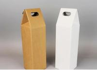 China Red Wine Bottle BoxesL Gold Silver Logo Gift Package for 2 Bottles Packing/Storage/Packaging for sale