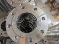 China Forged Flanges A182 F304l Wn Flanges A182 F310 So Flanges A182 F316l Statinless Flange for sale